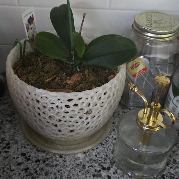 Pebble Tray for Plants (pre-washed Pebbles Included) - Etsy