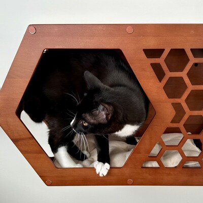 Corner Cat Shelf With Pillow Cat Corner Wall Bed Corne Cat Shelf for ...