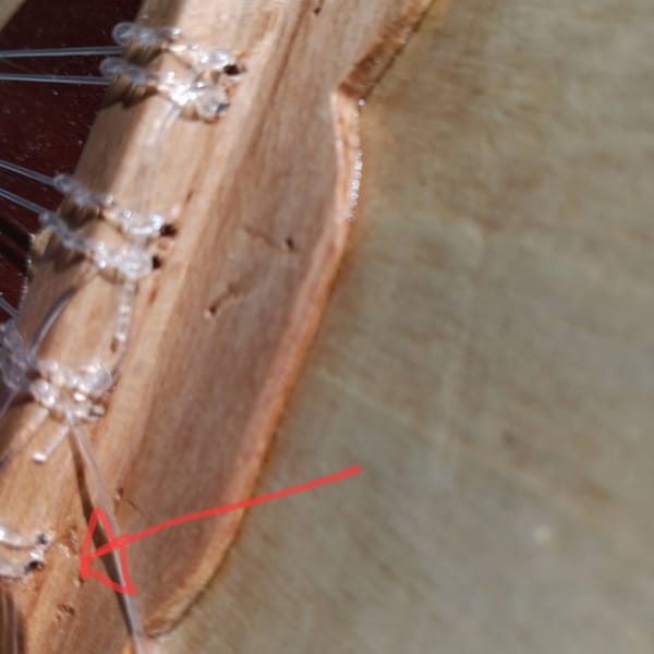 Set Consisting of Guembri and Qraqeb, Moroccan Pro Gnawa Instrument ...