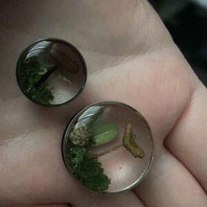 Enchanted Forest Moss and Mushrooms Plugs. FOR PAIR. 10mm and | Etsy