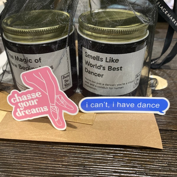 Funny Pointe Shoe Vinyl Sticker, Ballet, Pointe, Dance, Funny, Laptop ...