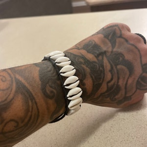 10 to 11 River Cooter Turtle Shell 1077-1011 10UB - Etsy