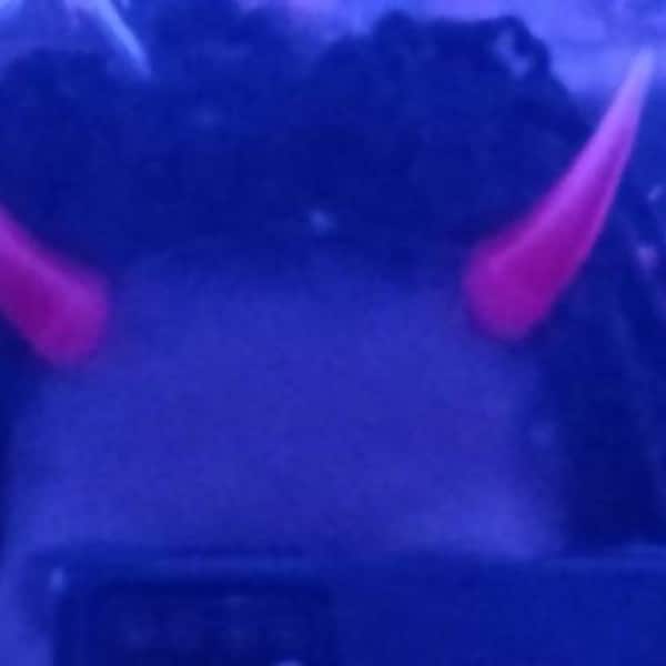 Oni Ogre Demon Horns Medium Size - Etsy