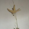 Brass Envelope Wall Decoration - Etsy
