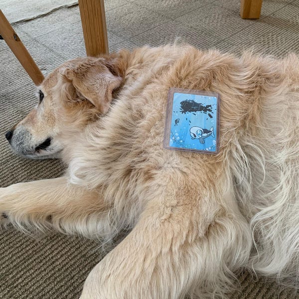 Lobotomy Corporation Sticker Pack | Pack of Eight Stickers for Craft ...