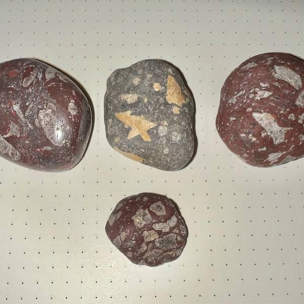 Thick Polished Porphyry With Big Crystals, Cross-like Feldspar Crystals ...