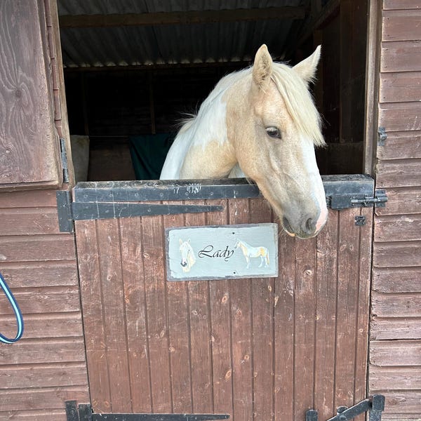 Handpaint Horse Stable Sign 30cm X 10cm - Etsy UK