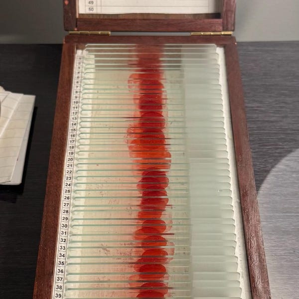 Dexter Blood Slide Box Mahogany - Etsy