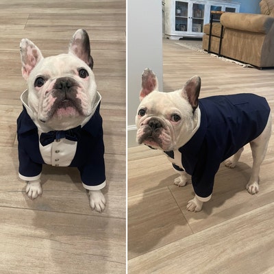 Navy Blue Dog Tuxedo With Blush Bow Tie Dog Wedding Attire - Etsy