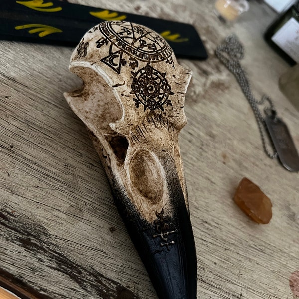 Wall 3D Decor Decoration Crow Raven Bird Skull Replica Realistic ...