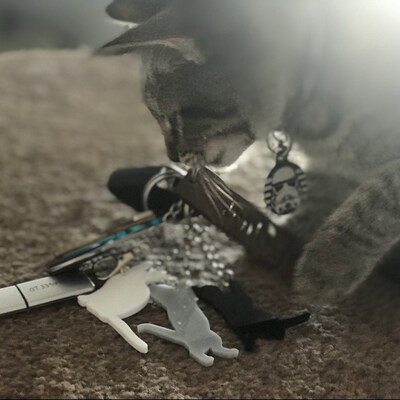 Cat Playing Keychain Silhouette - Etsy