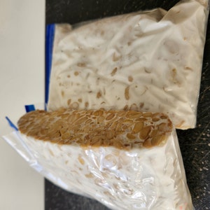 Tempeh Starter/culture (ragi Tempeh)- (1x20 Gram) FREE Shipping|vegan ...