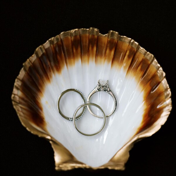 Blue Coral Scallop Shell Trinket/ring Dish Gold - Etsy