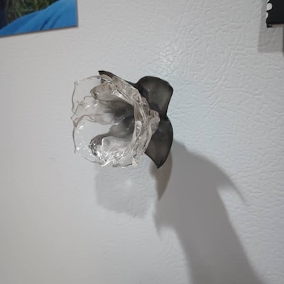 Jumping Spider Care Sheet, Printable Spider Tracker, Pet Breeding ...