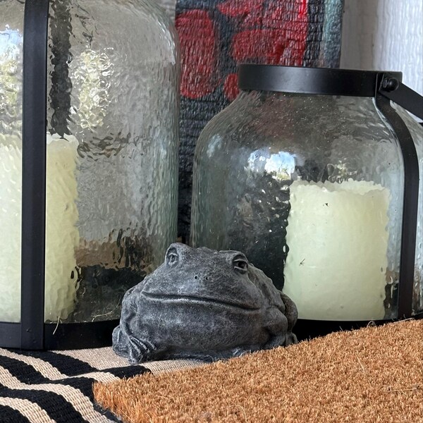 Chilled and Relaxed Toad Concrete Statue - Free Shipping - Home or ...