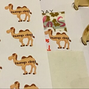 Camel Hump Day Planner Stickers, 20 or 64 Count - Stickers for Planners ...