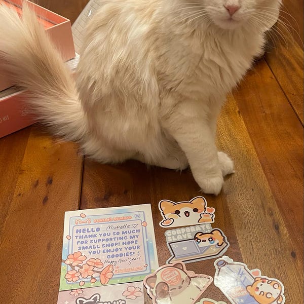 Please Handle With Love FRAGILE Sticker | Cat Meme Stickers | Kawaii ...