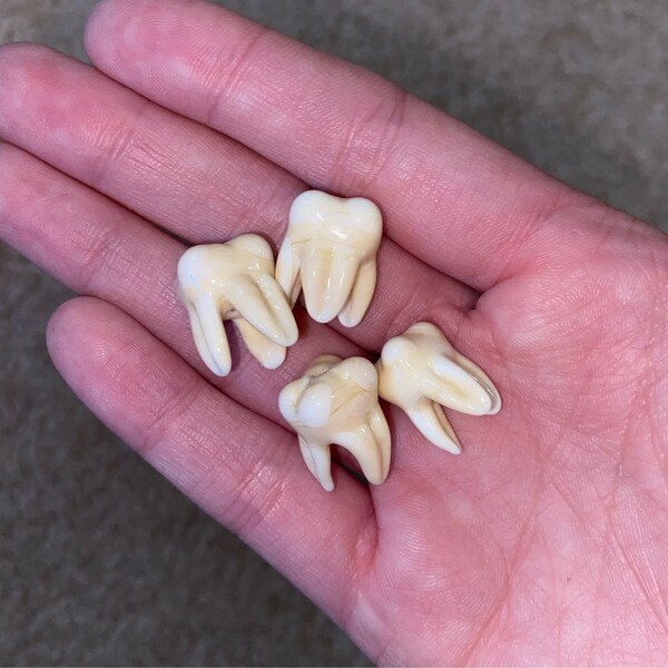 Glass Root Tooth Beads, Molar Beads, Dentist Gift Prank, Teeth Beads ...