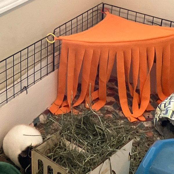 Corner Curtain Rat Guinea Pig Rabbit Hedgehog - Etsy