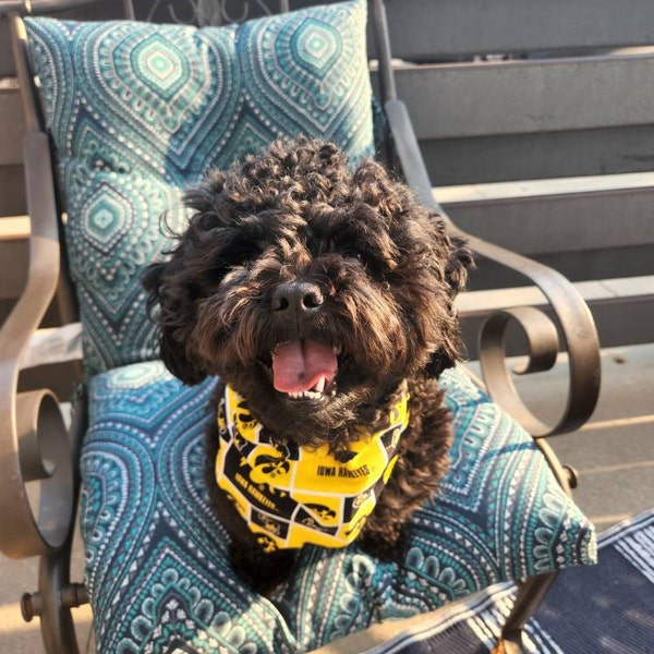 Green Bay Packers Over Collar Dog Bandana, NFL, Pet Scarf, Reversible ...