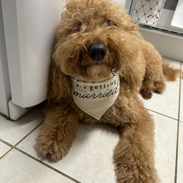 The Big ONE Shirt, Surfer Themed Party, Wave, First Birthday, Bday Boy ...