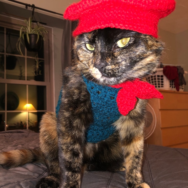 French Beret Hat and Scarf, Beret Hat for Cat, Cat Scarf, Purple Kitten ...