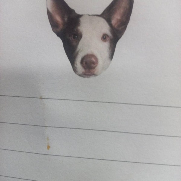 Custom Dog Notepad, Personalized Dog Notepad, Custom Pet Notepad ...
