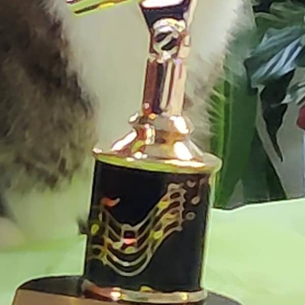 Trophy, Microphone Award Trophy, Personalized Music Award, 7" Tall ...