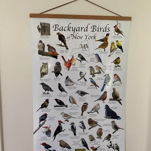 Birds of Ohio Backyard Birding Identification Picture Print/ Great ...