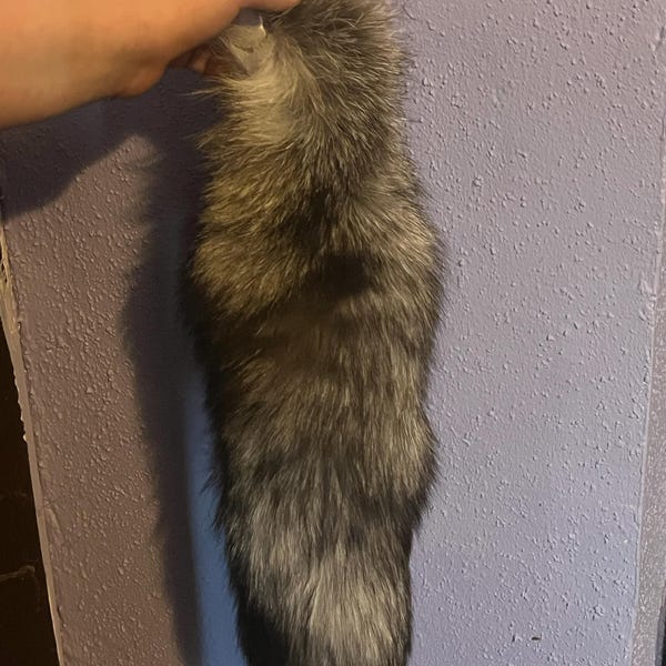 Eco Friendly Blue Fox Tails - Etsy