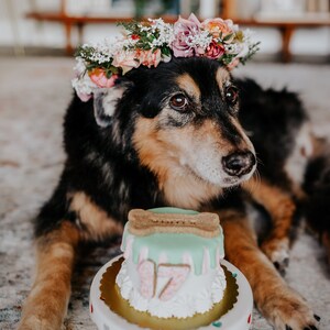 Double Decker Dog Birthday Cake With Custom Name Bone Topper 4 Inch ...