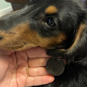 Quiet Dog Tag, Leather Dog Tag, Personalized Leather Dog Tag, Pet ...