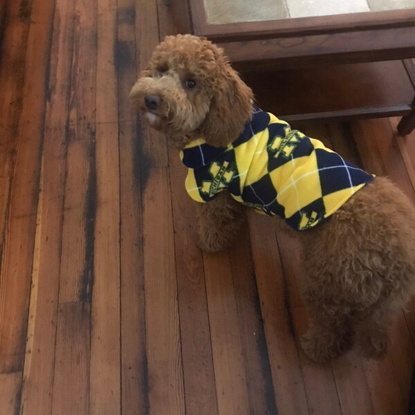 University of Michigan Dog Coat - Etsy