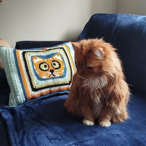 Cat Face Granny Square - Etsy