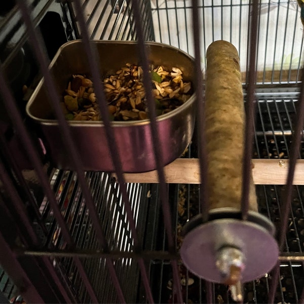 Natural Silver Birch Hardwood Round Log Slices Rustic Green Hard Wood ...