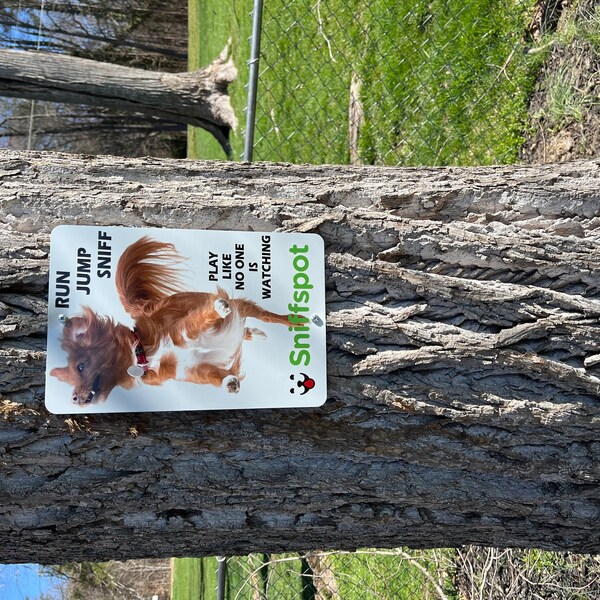 New Yoga Pose Funny Pick up Dog Poop Sign, Outdoor Pet Waste Sign ...