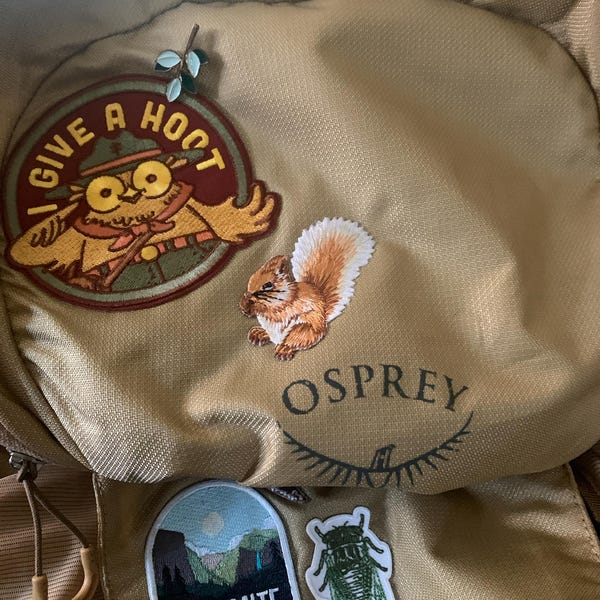 T-rex Patch, Dinosaur Patch, Tyrannosaurus Embroidered Patch Iron-on ...