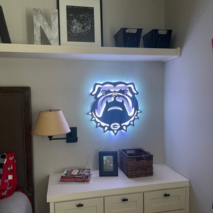 Anime Led Light Anime Led Sign Neon Sign Anime Baka LED | Etsy