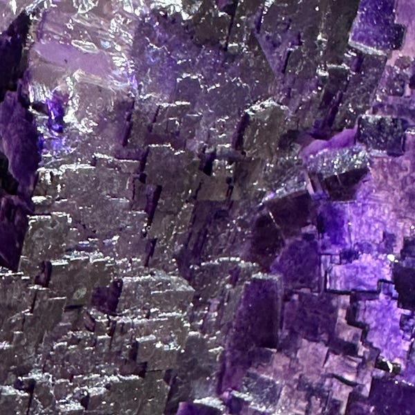 Authentic K-T Boundary kpg Boundary Sediment Layers Marking the ...