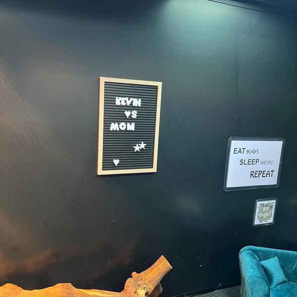 8x8 3D Printed Climbing Wall PANEL for Bearded Dragons & Other Reptiles ...