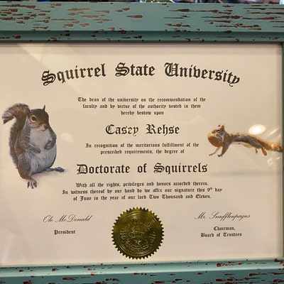 Personalized SQUIRREL Diploma We Print Any Name Squirrel Gift Chipmunk ...