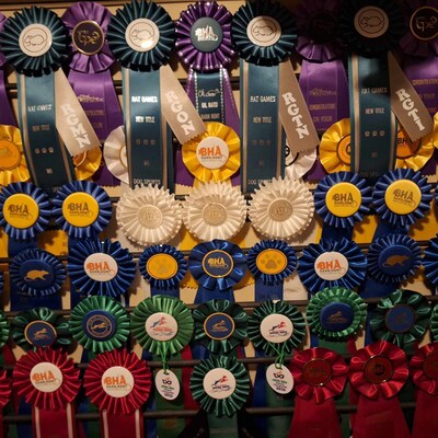 4-H FFA Ribbon Holder Display Award Rack Dog Show Ribbon Holder Award ...