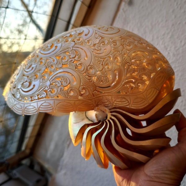 Carved Skull,wooden Human Skull With Centipede,skull Replica,skull Art ...