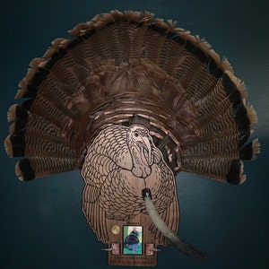 Custom Turkey Plaque Tail Mount, Personalized, Unique Fan, Beard, and ...