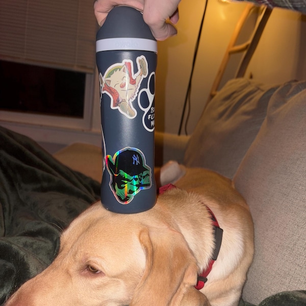 Buy 2 Get 1 Free! Danmachi Keychains (bell, Ais, Aisha, Syr, Alise ...