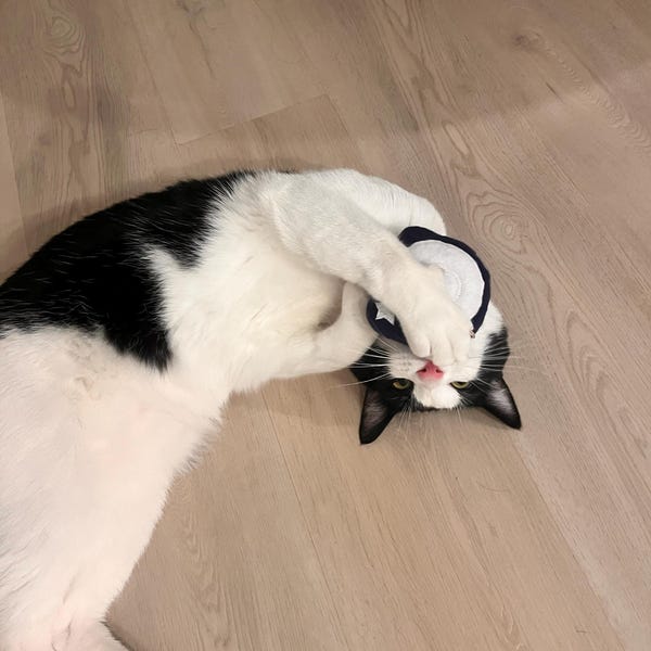 Food Toys for Cats, Cute Sweets for Cats, Donut Toys, Chocolate ...