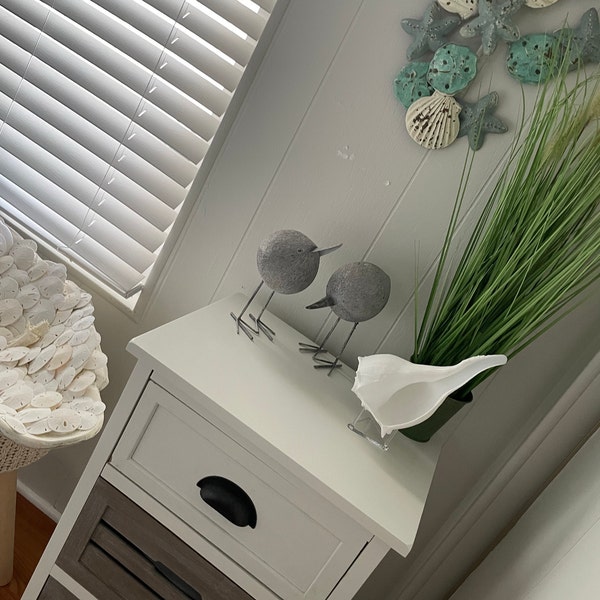 Set of 14 SW Florida Beach Found Mix Lot Seashells - Etsy