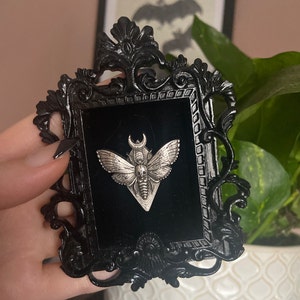Death Head Moth in Baroque Frame Macabre Faux Taxidermy | Etsy