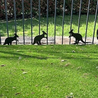 Rustic Steel Kangaroo Family | Outdoor Garden Decoration | Australian ...