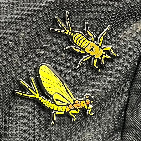 Polyphemus Moth Pin Set - Etsy